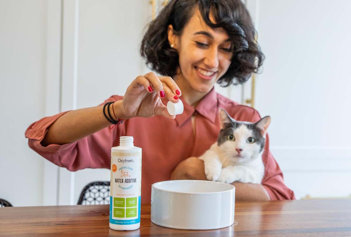 Cat Breath Stinks? Discover the Easiest Cat Bad Breath Remedy … Ever