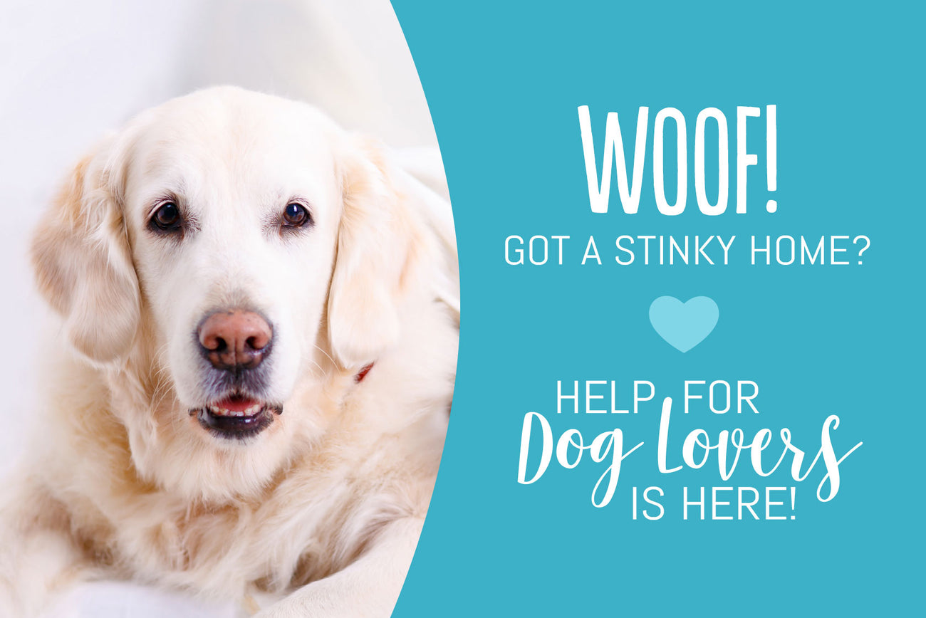 How to De-Stink Your Smelly Dog & Keep Your Home Fresh