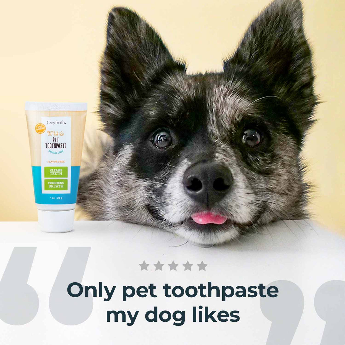 Sample Size Pet Toothpaste - Best Way To Clean Pet Teeth