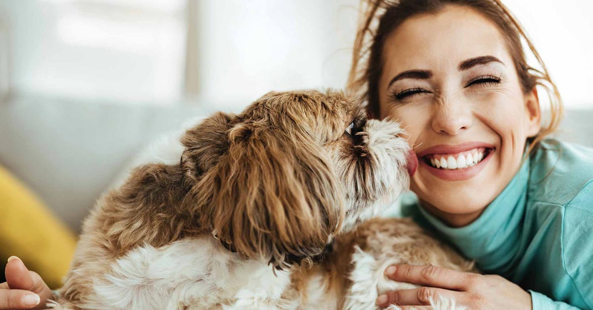 Low-Abrasion Toothpaste For Bad Breath from Oxyfresh
